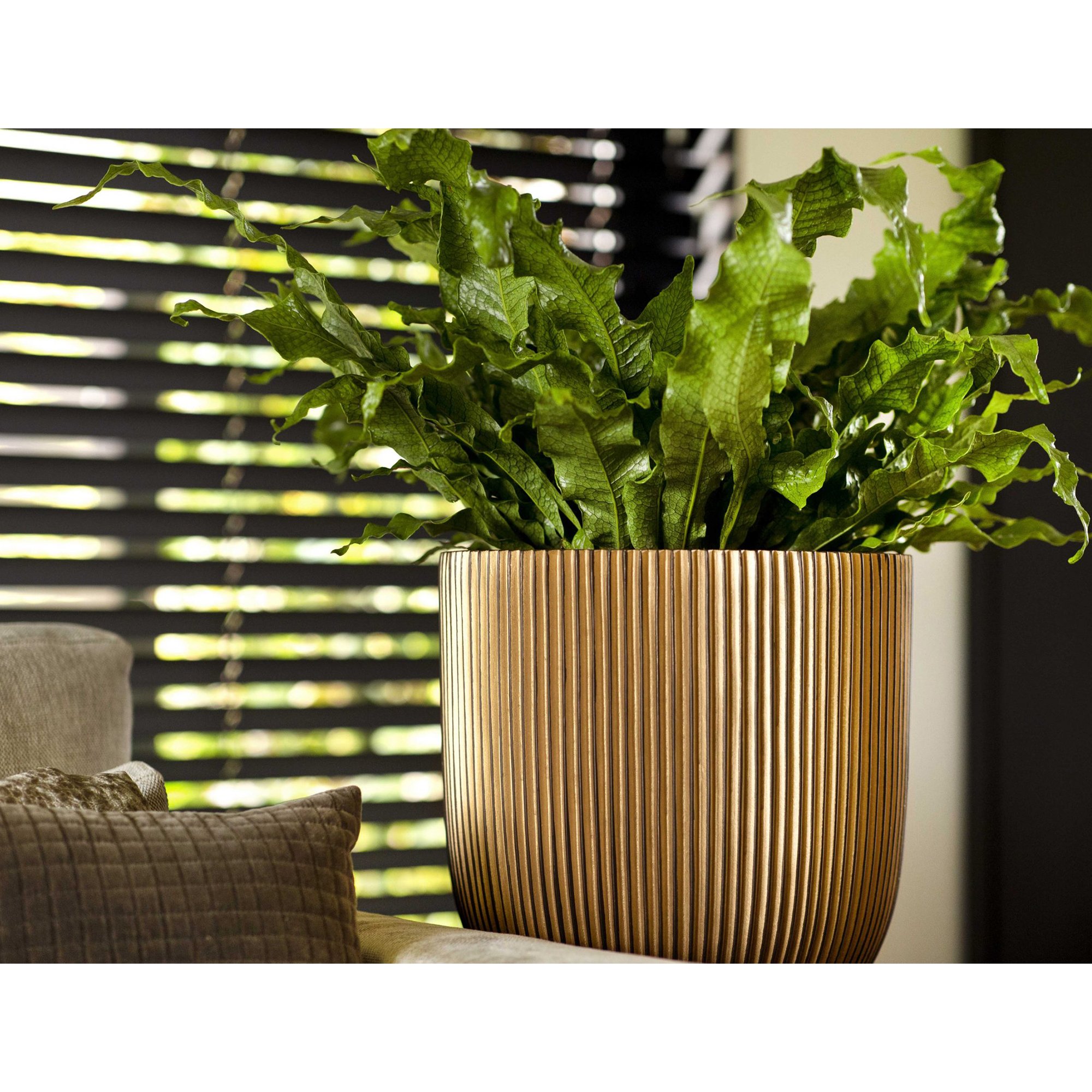 Matera Conic Round Groove 23 cm